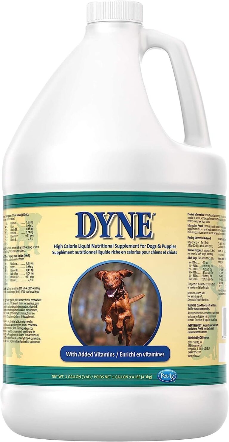 Dyne - evernoti.com